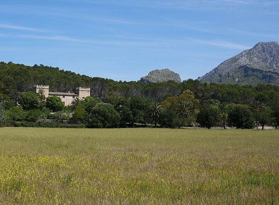 Calvia to promote active holidays during Mallorca's winter season ...