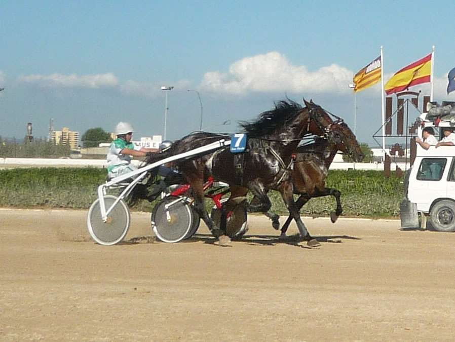 Horse Trotting Races, Palma de Mallorca