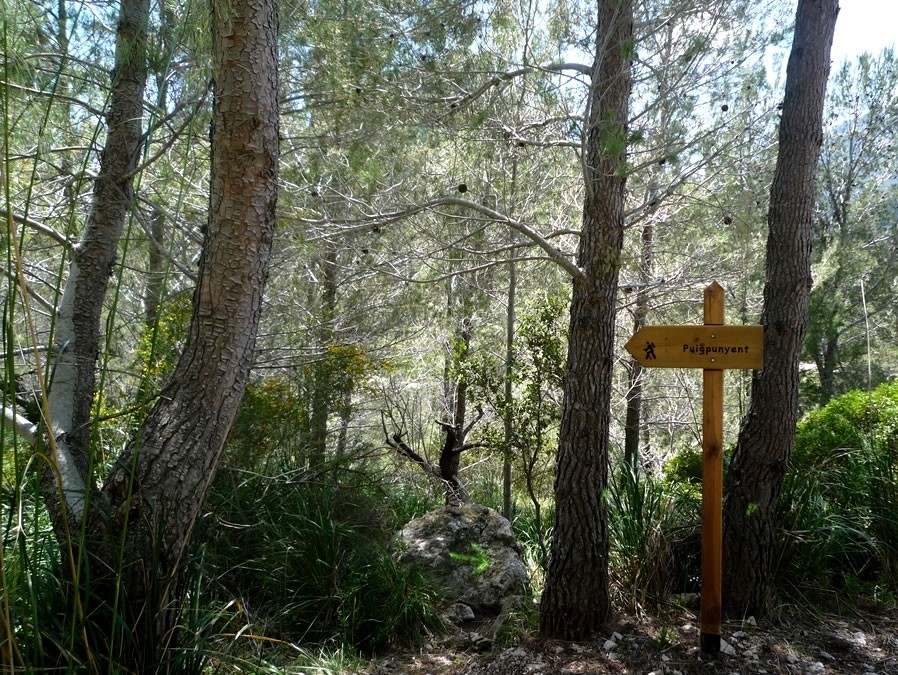 Best Walking Routes in Mallorca (Majorca) | SeeMallorca.com