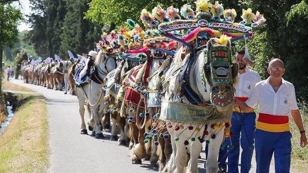 Saint Eloi horse parade, Saint Remy de Provence
