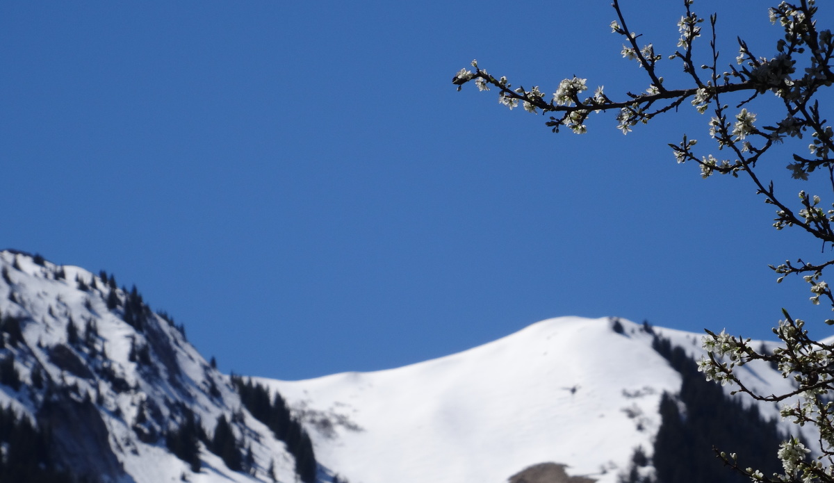 Val Thorens Snow Report: 22nd April 2016