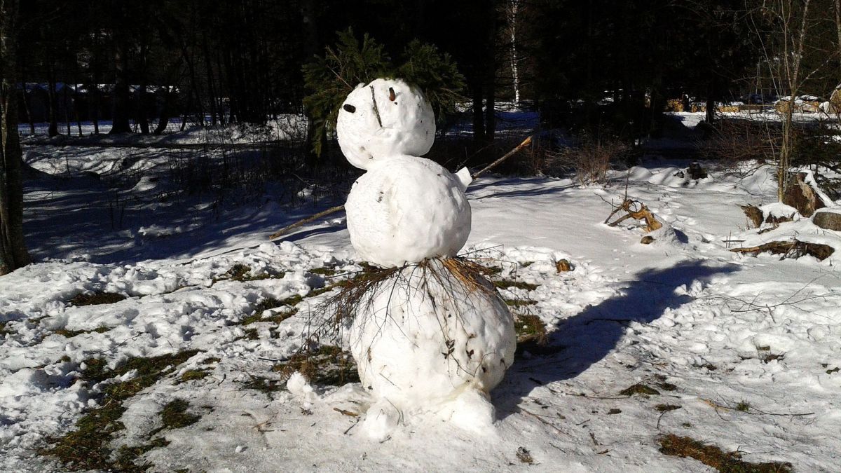 Snowman Competition, Les Deux Alpes