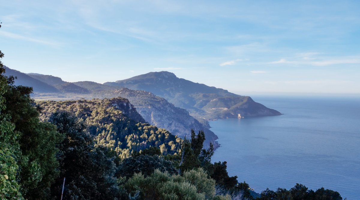 Miramar & Soller Valley Tour, Valldemossa
