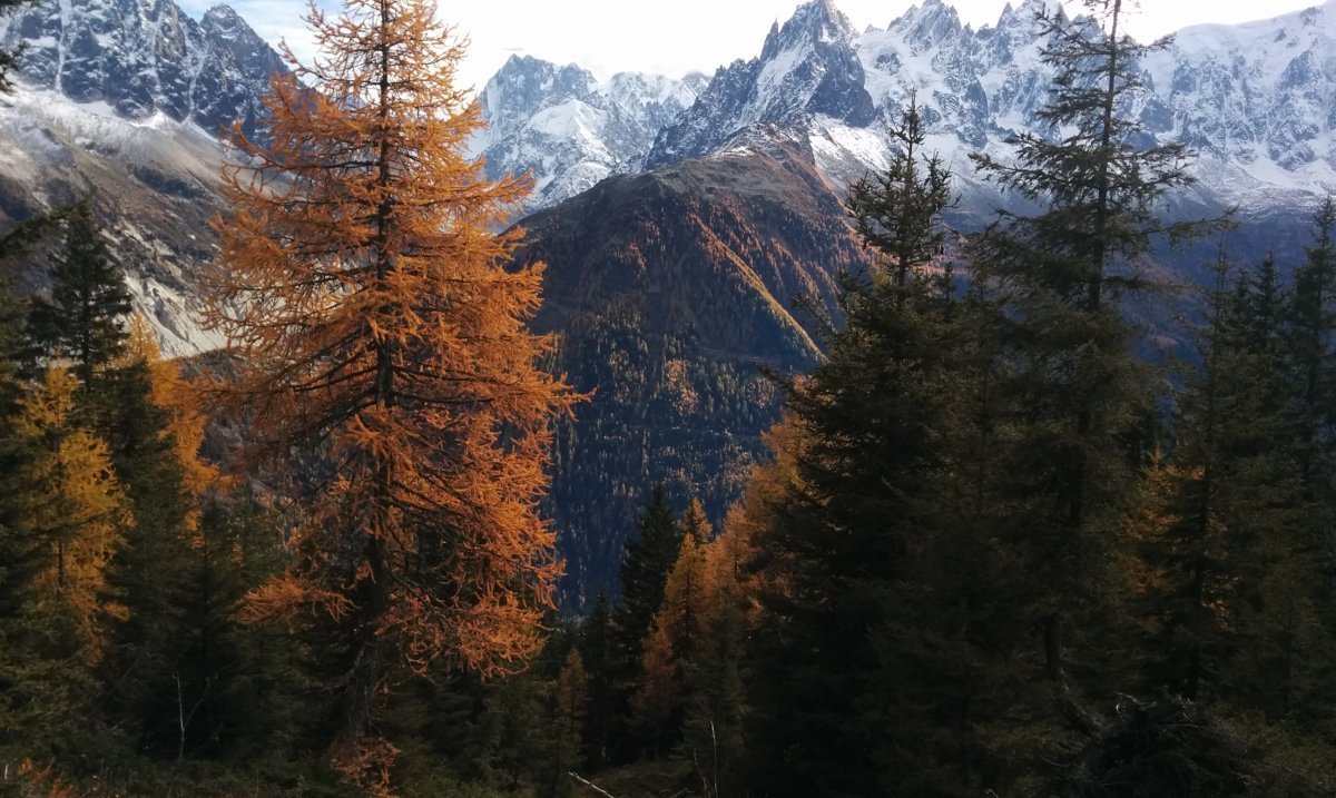 Private Guided Hiking in the Chamonix Valley