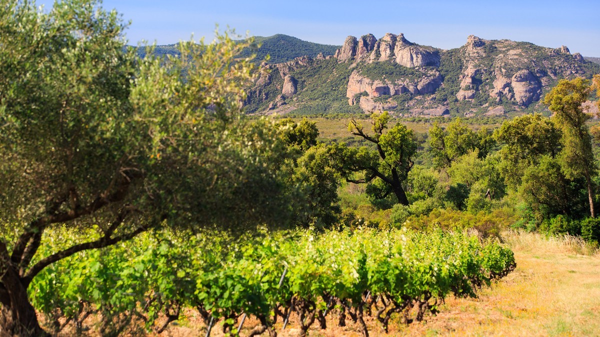 Chateau du Rouet, Le Muy | SeeAntibes.com