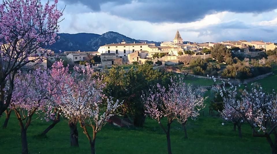 Fira de La Creu, Selva | SeeMallorca.com
