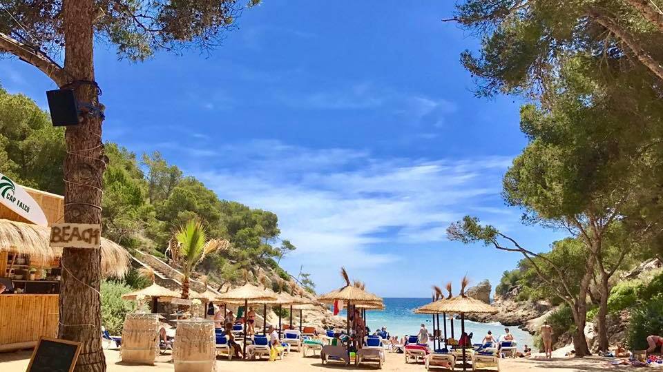 Cala Falco Beach, Magaluf | SeeMallorca.com