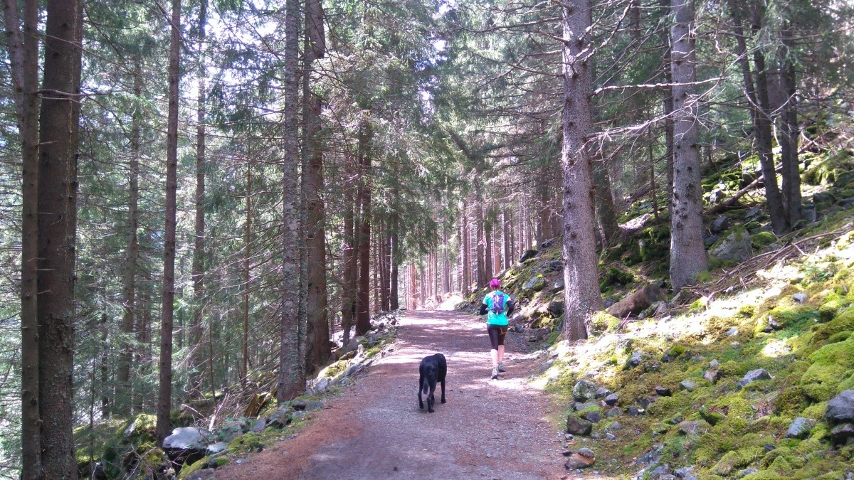 Spring Trail Running in Chamonix